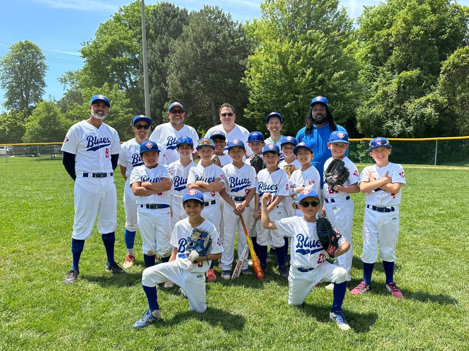 Elite/Elite/Rep/Select Competitive Teams - North York Baseball ...
